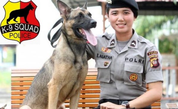Mengenal Anjing Polisi K-9 | BaleBandung Mengenal Anjing Polisi K-9 | BaleBandung